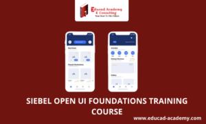 Siebel CRM Training | Siebel Open UI Course in Karachi USA Dubai Canada Uk Saudi Arabia Australia