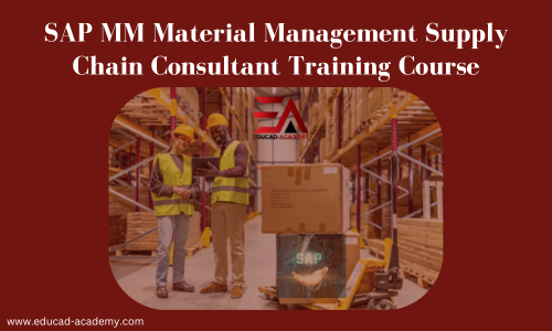 SAP MM Material Management Supply Chain Consultant Course in Karachi USA Dubai Canada Uk Saudi ...